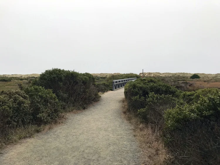 Limantour Beach — Point Reyes Nature