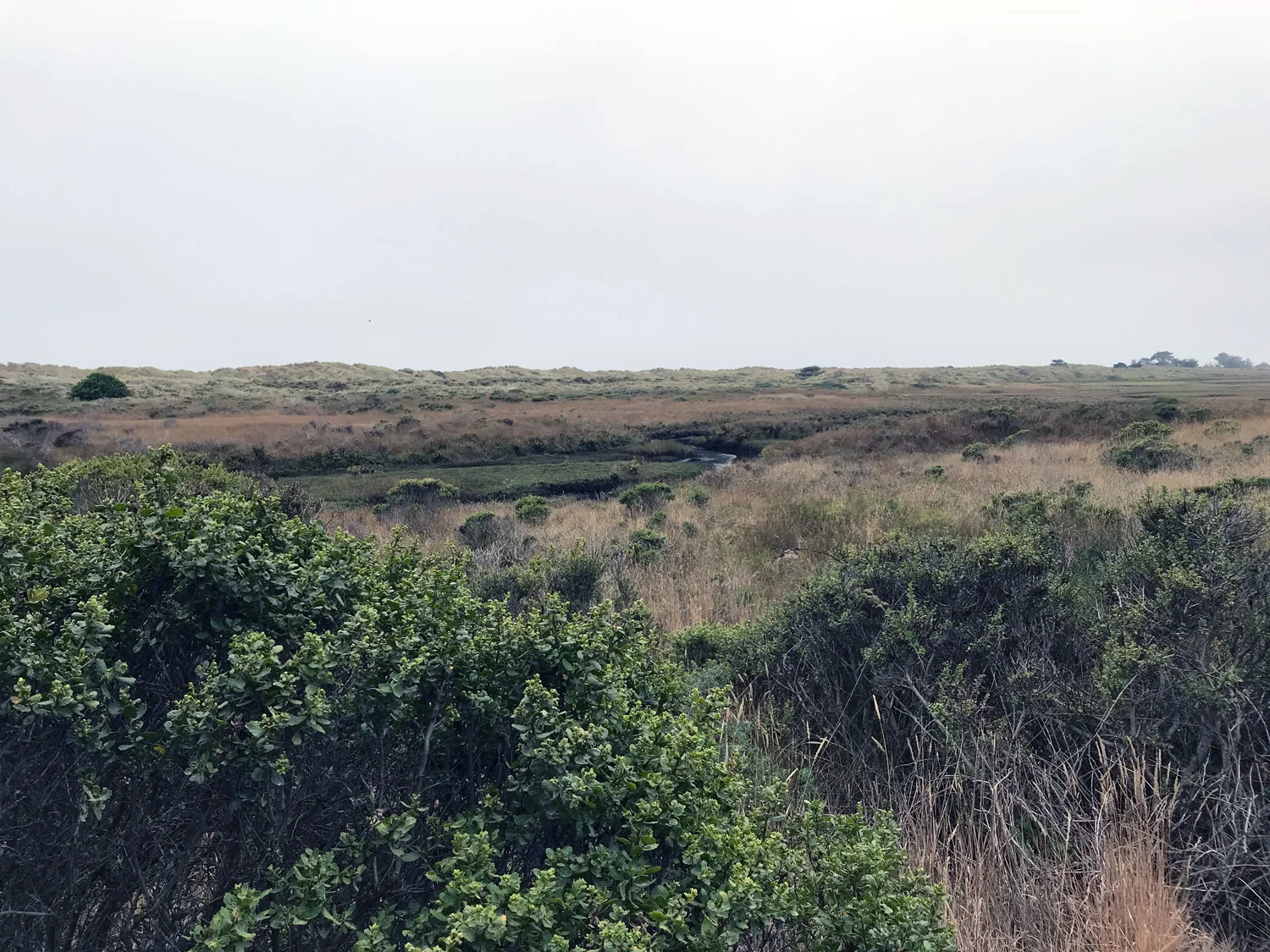 Limantour Beach — Point Reyes Nature