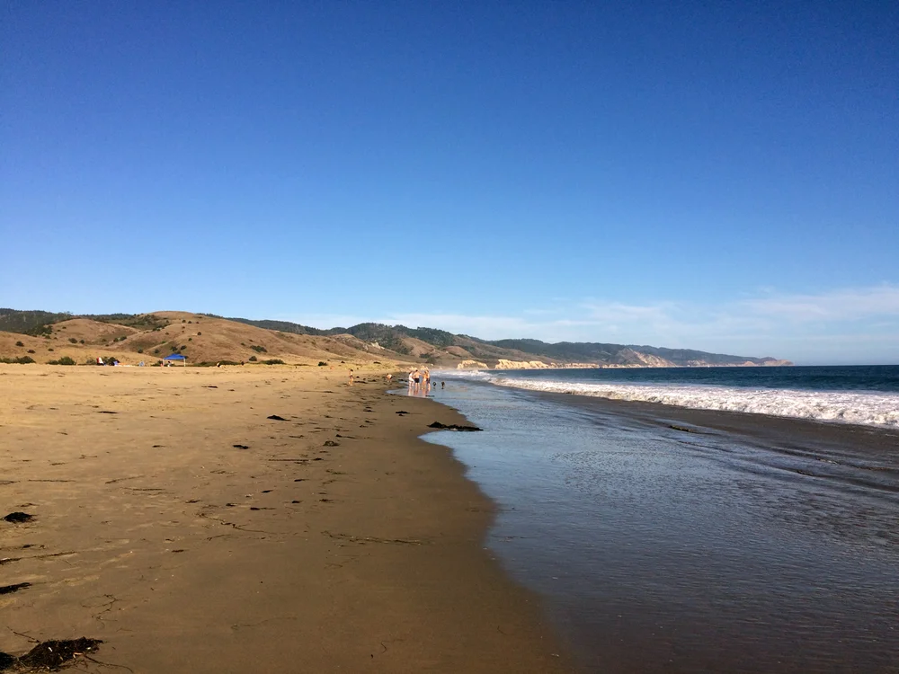 Limantour Beach — Point Reyes Nature