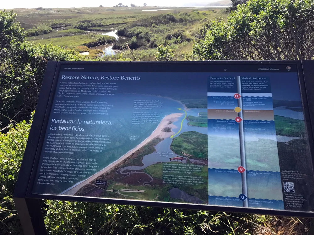 Limantour Beach — Point Reyes Nature