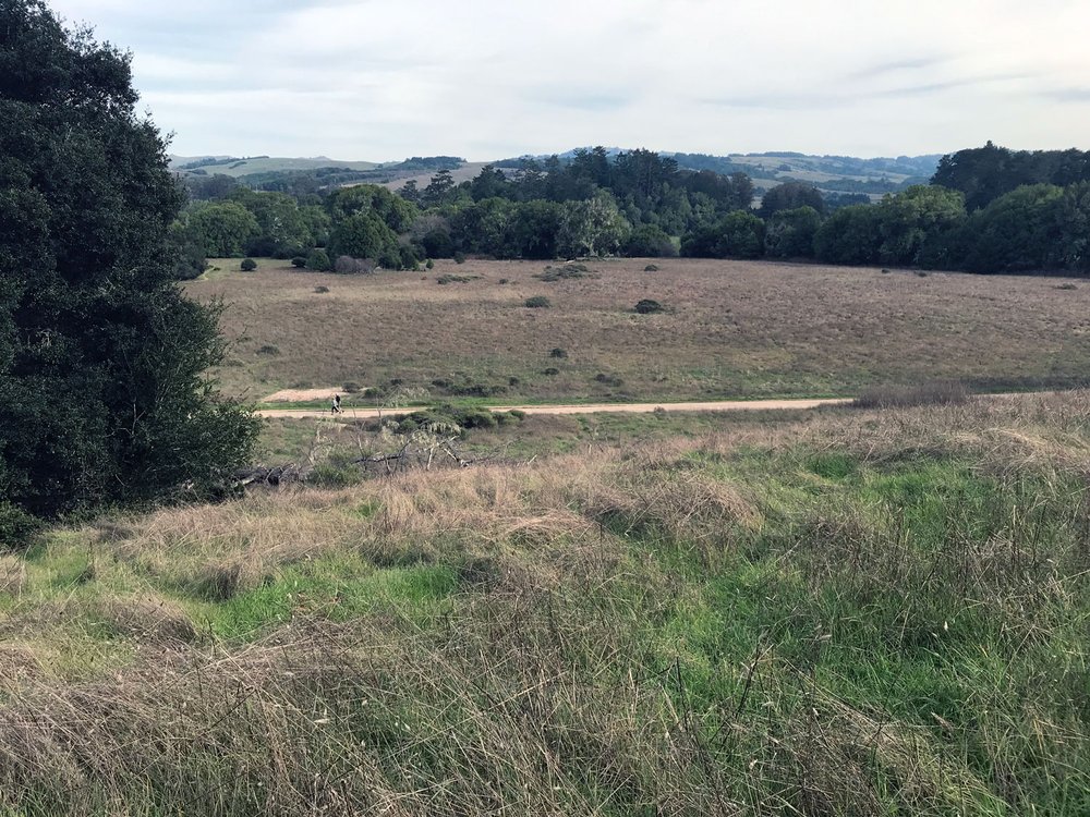 Woodpecker Trail — Point Reyes Nature