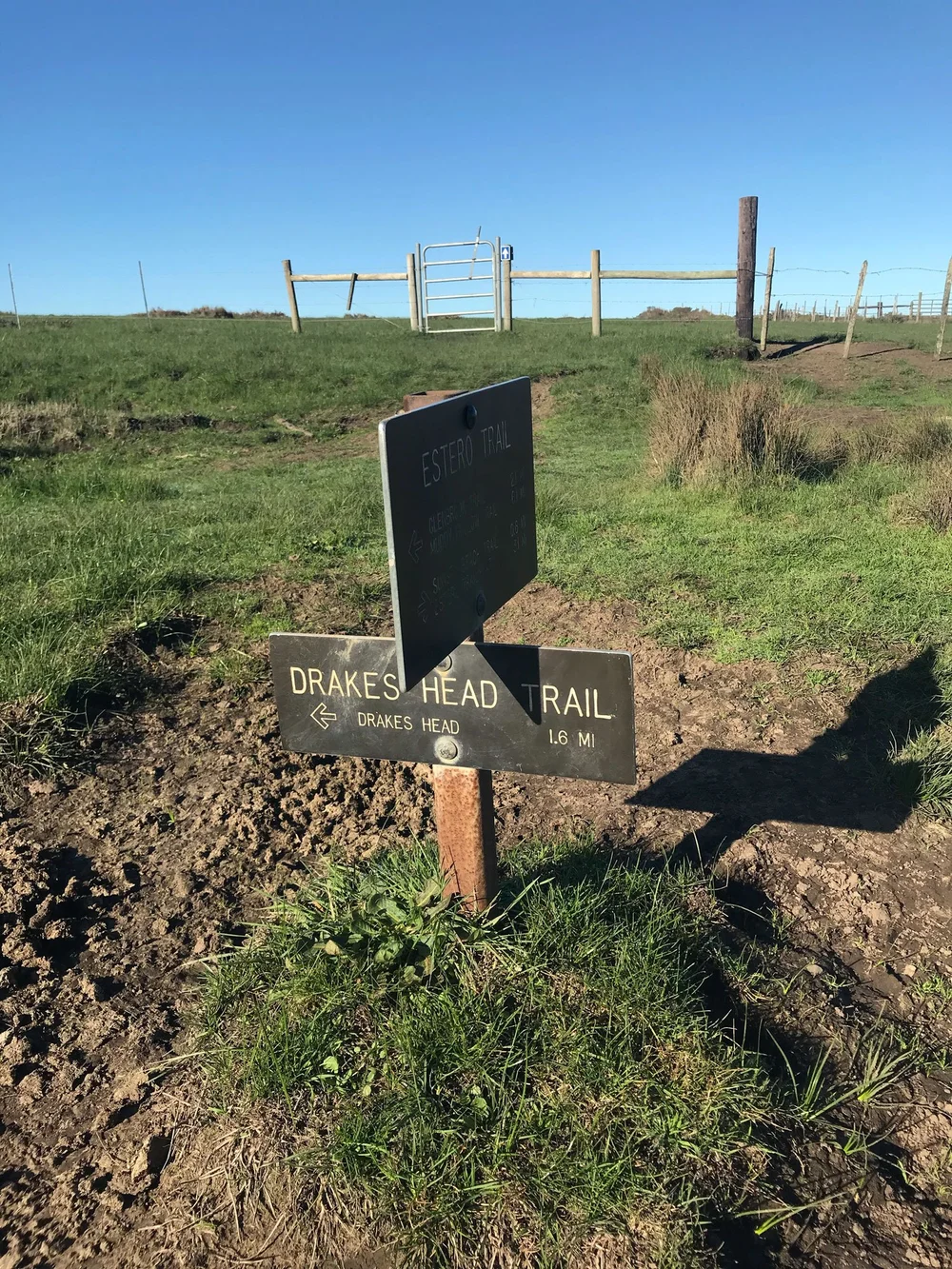 Drakes Head Trail — Point Reyes Nature