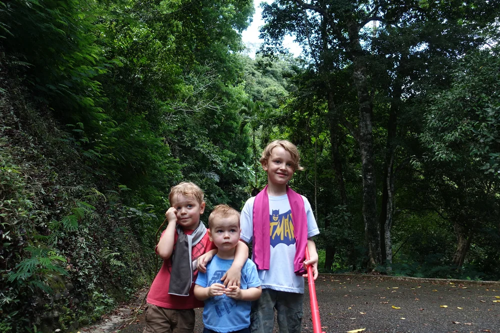 Uplb Botanical Garden | Fasci Garden