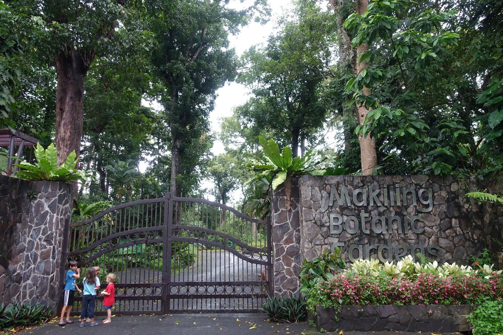 Makiling Botanical Garden | Fasci Garden