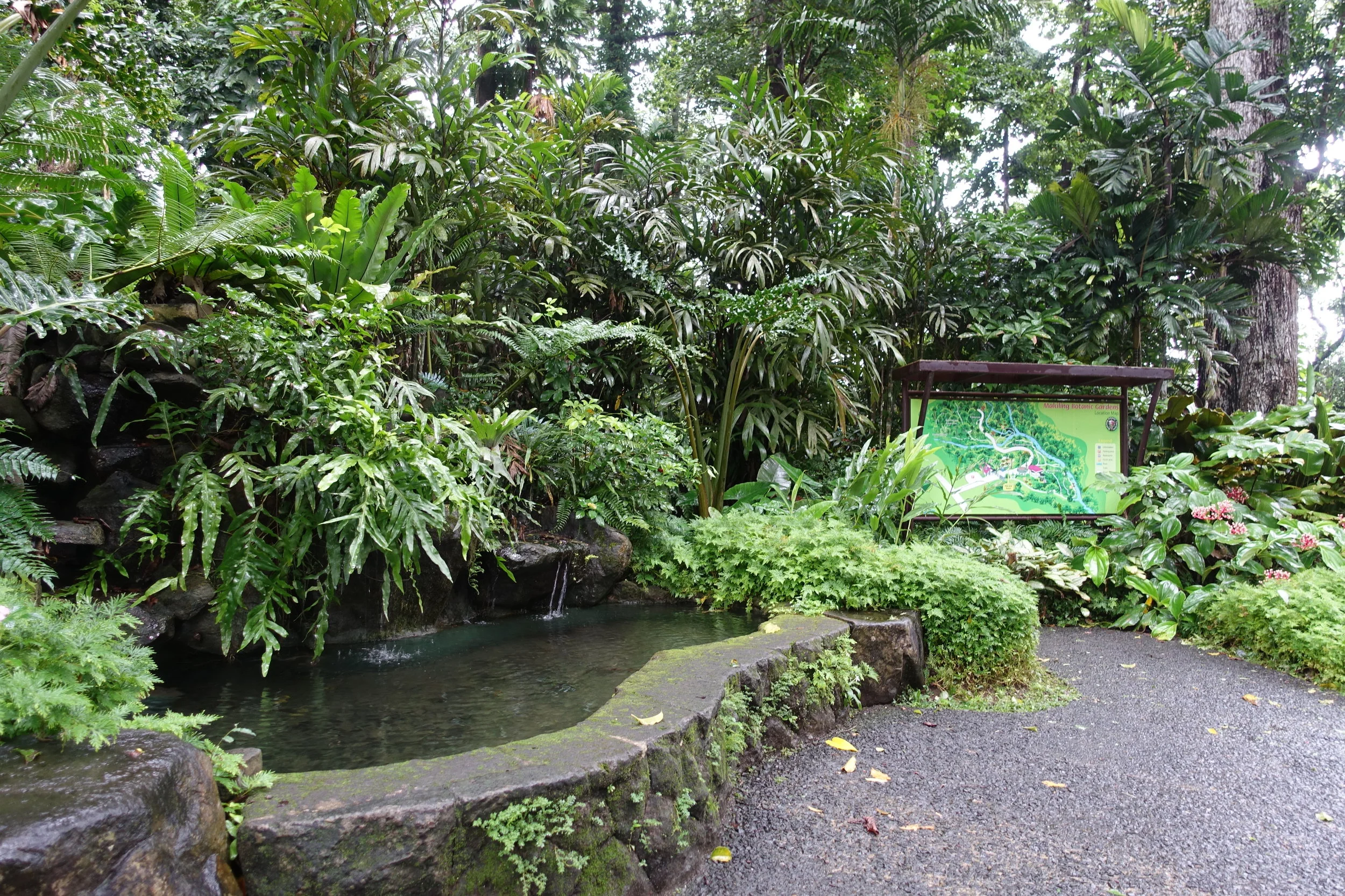 Makiling Botanical Garden | Fasci Garden