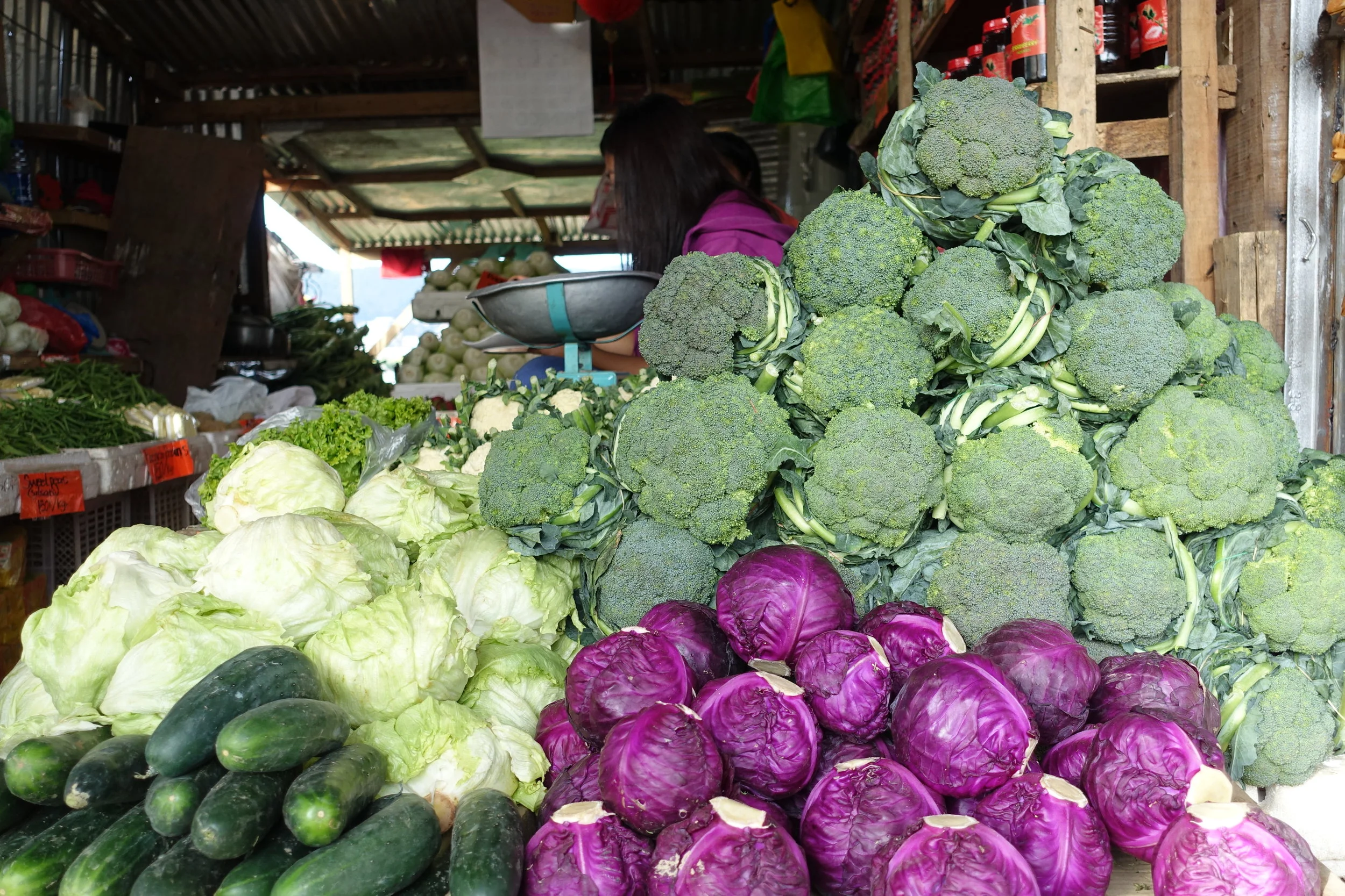 Strawberry Season In La Trinidad Benguet at Dalton Finn blog