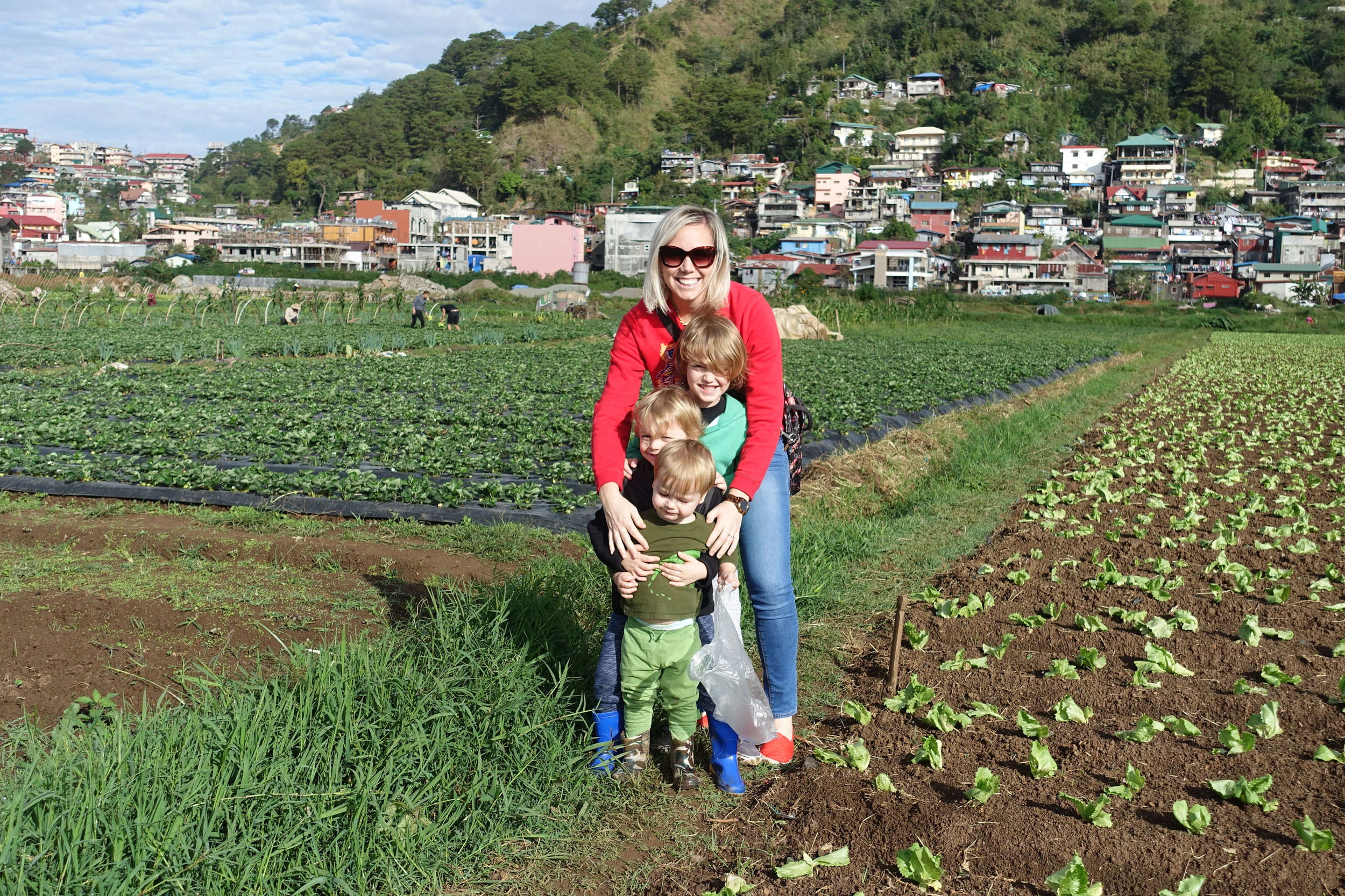 Strawberry Season In La Trinidad Benguet at Dalton Finn blog