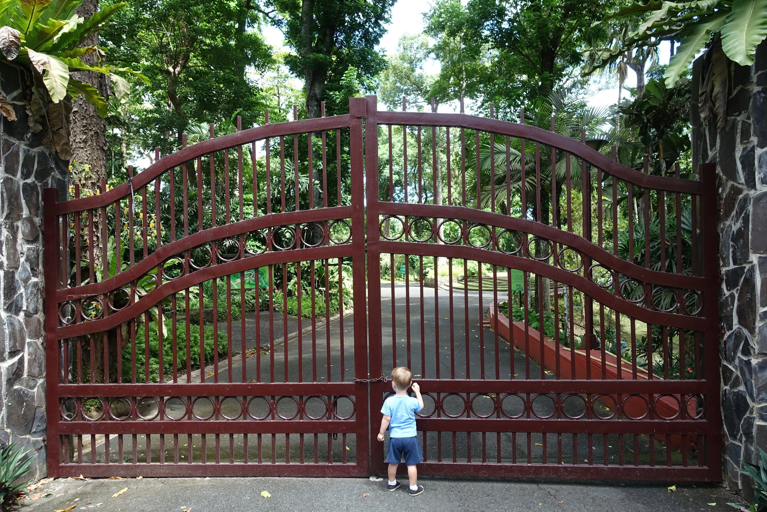 Uplb Botanical Garden Entrance Fee | Fasci Garden