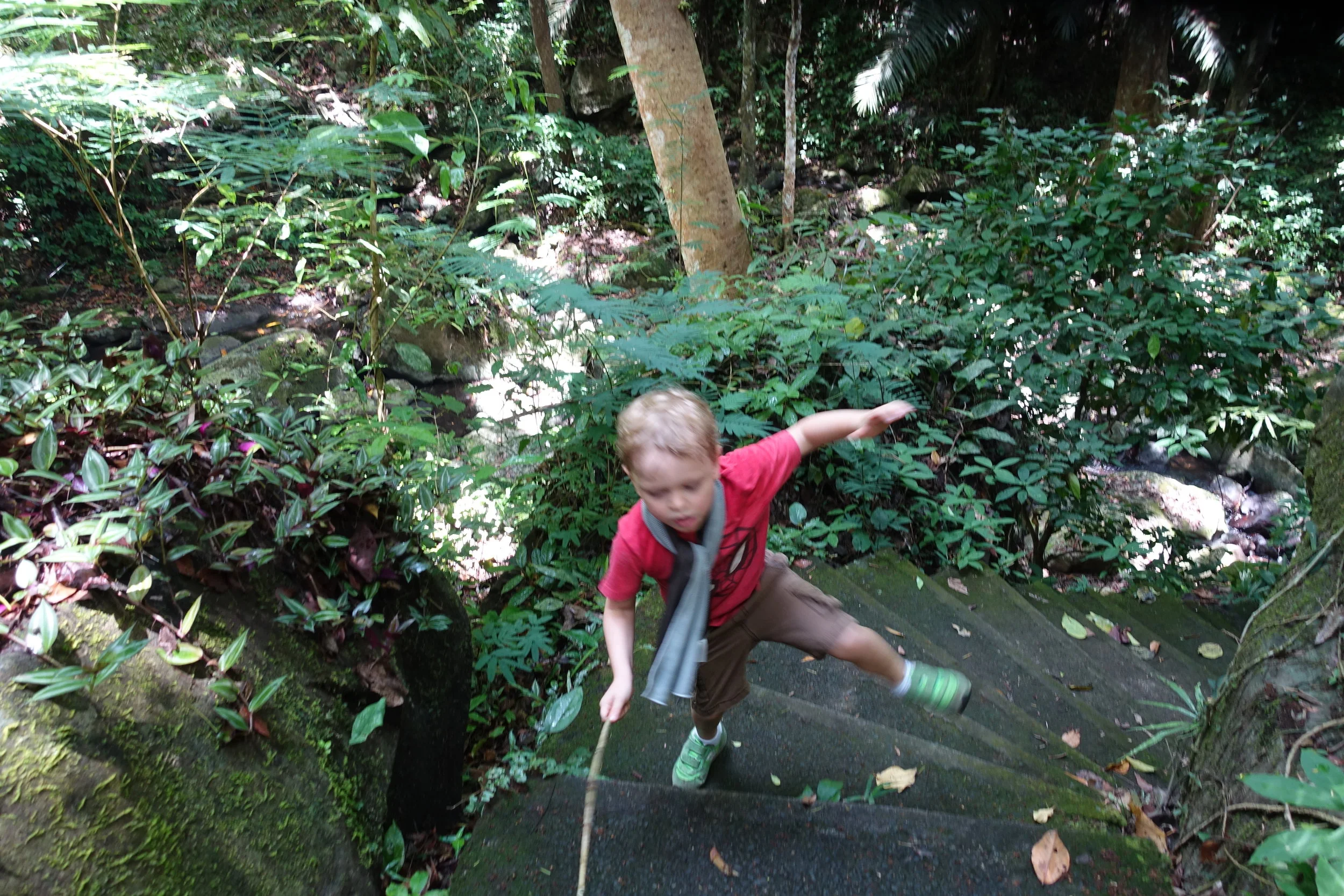 Uplb Botanical Garden Entrance Fee | Fasci Garden