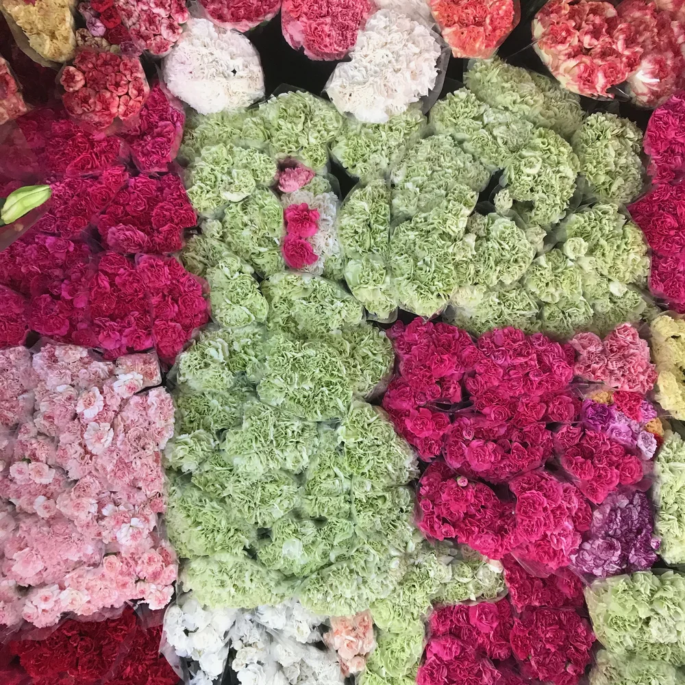 Kinds Of Flowers Available In Dangwa | Best Flower Site