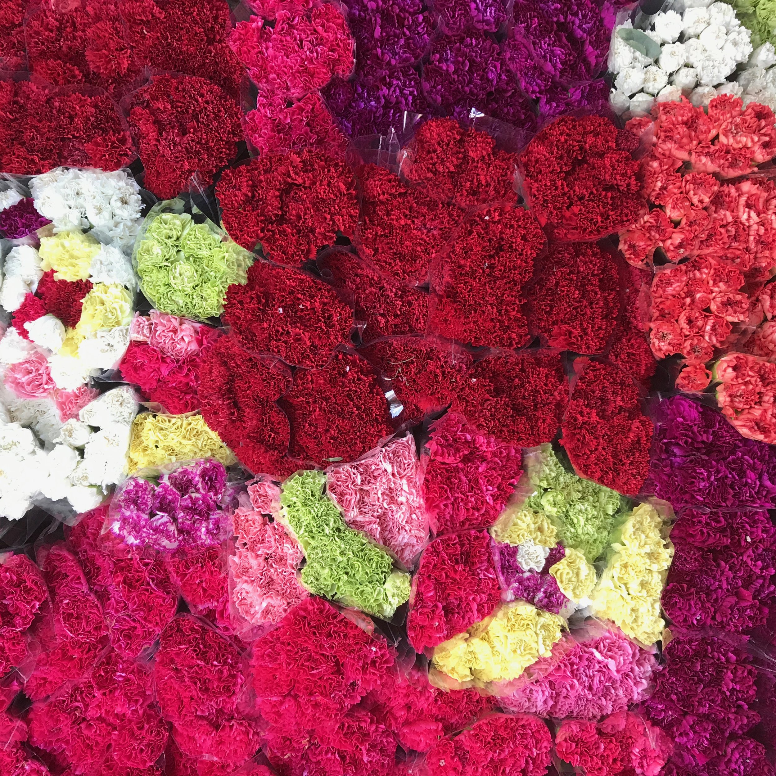 Kinds Of Flowers Available In Dangwa | Best Flower Site