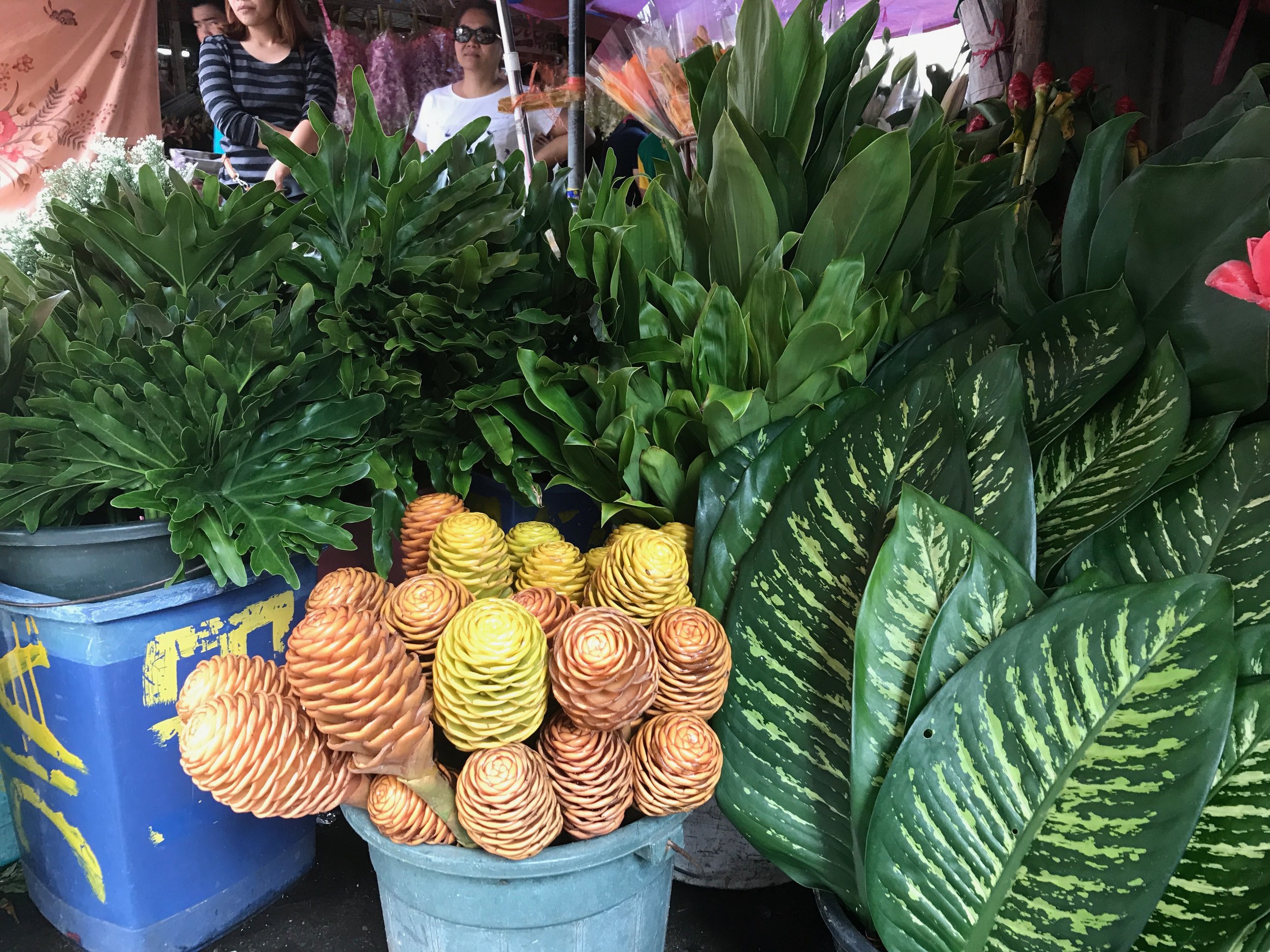 Dangwa Flower Market Map | Best Flower Site