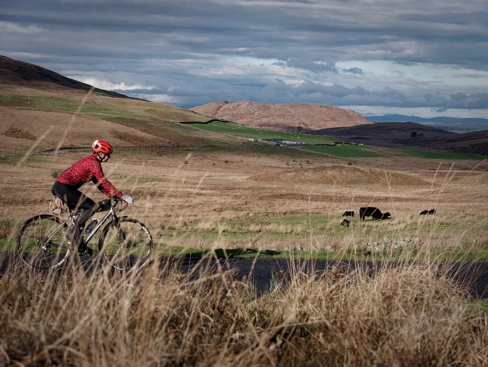 Galloway Cycling Holidays - Unique in Scotland