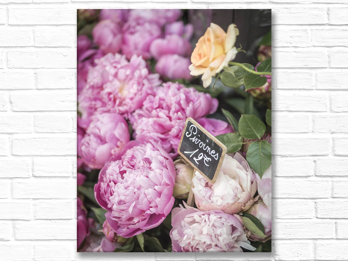 Pivoines (Peonies) at a Paris Market , Color Canvas — Parisian Moments