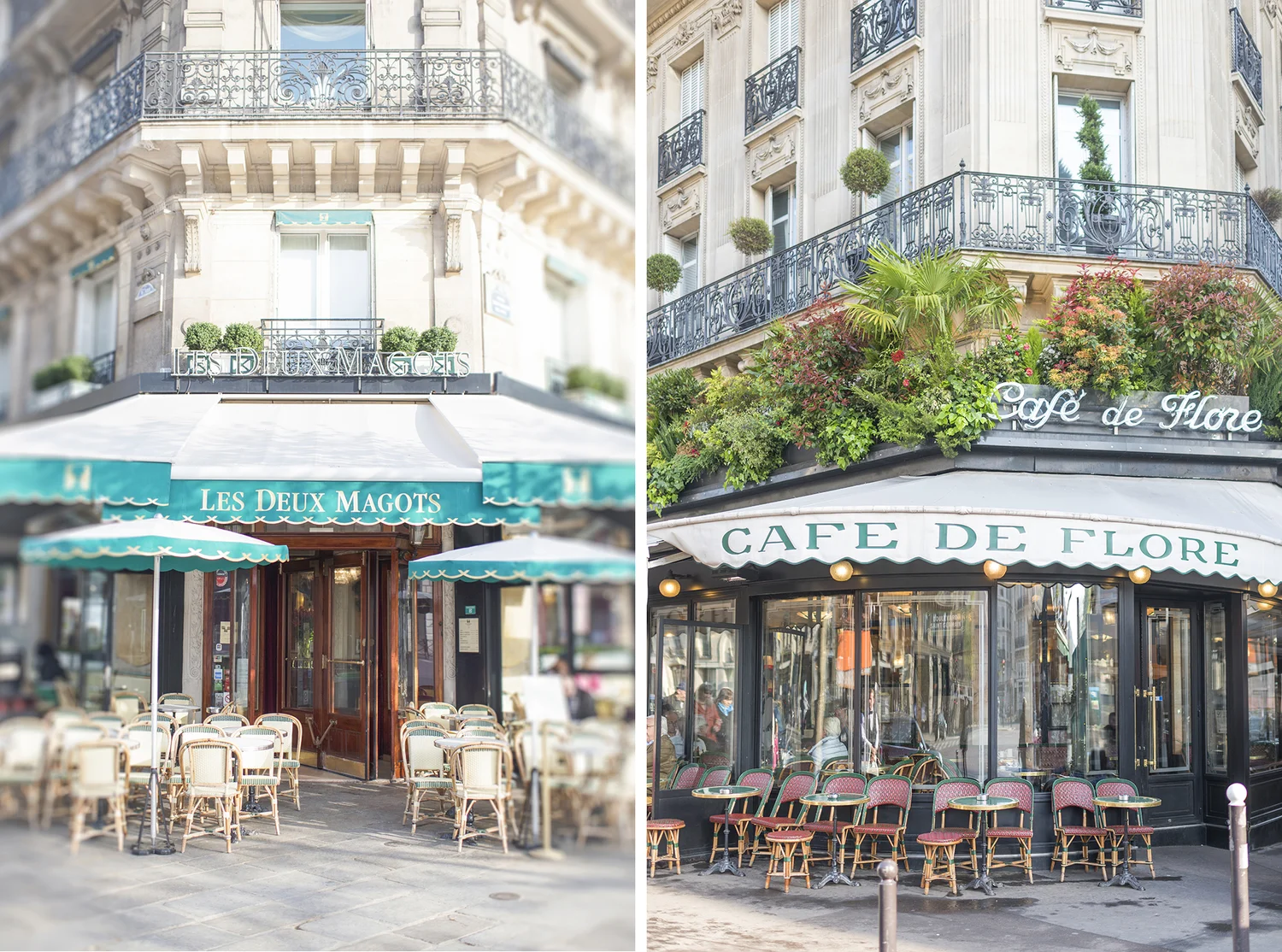 Café Life in Paris — Parisian Moments