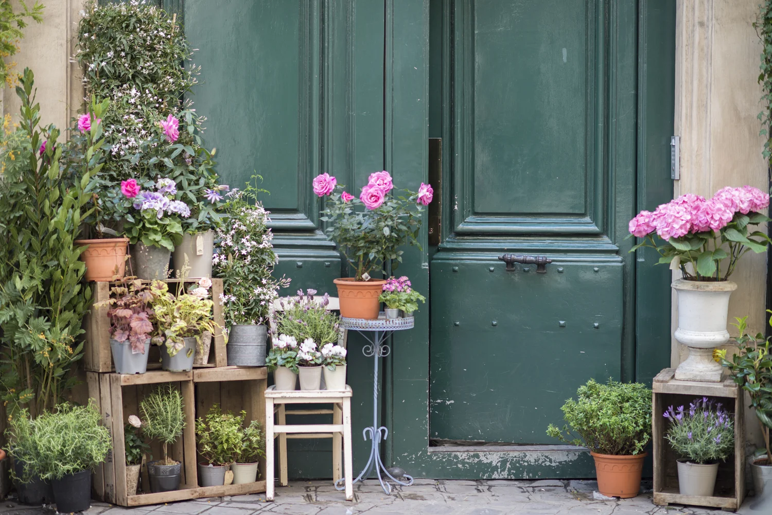Flower Shops of Paris — Parisian Moments