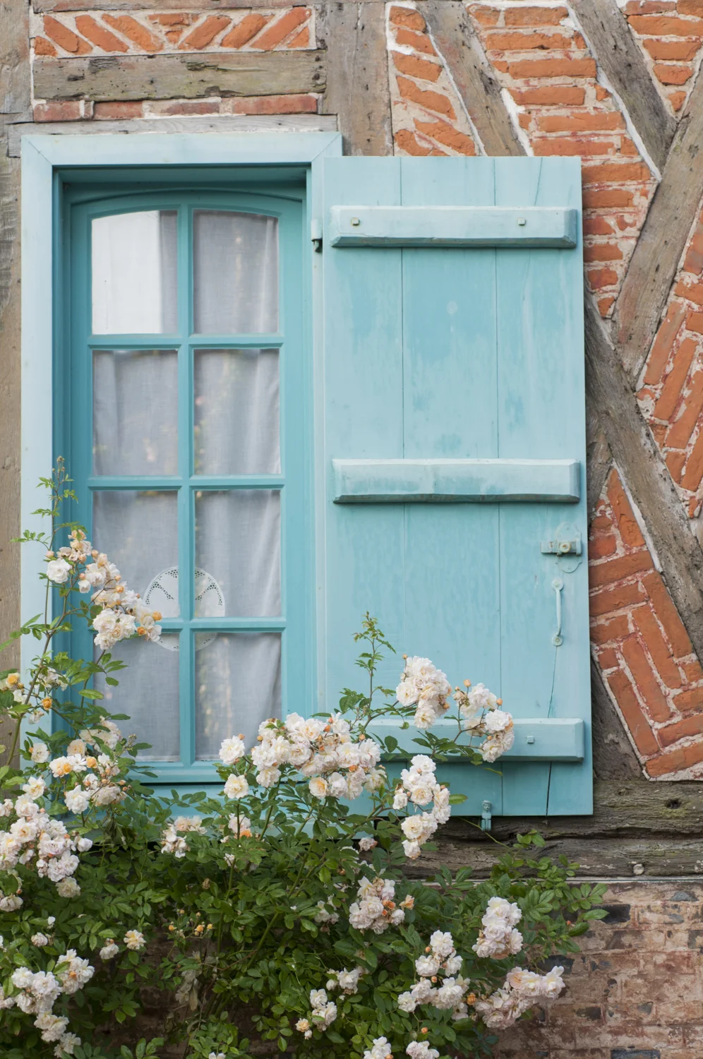 French Country Roses — Parisian Moments