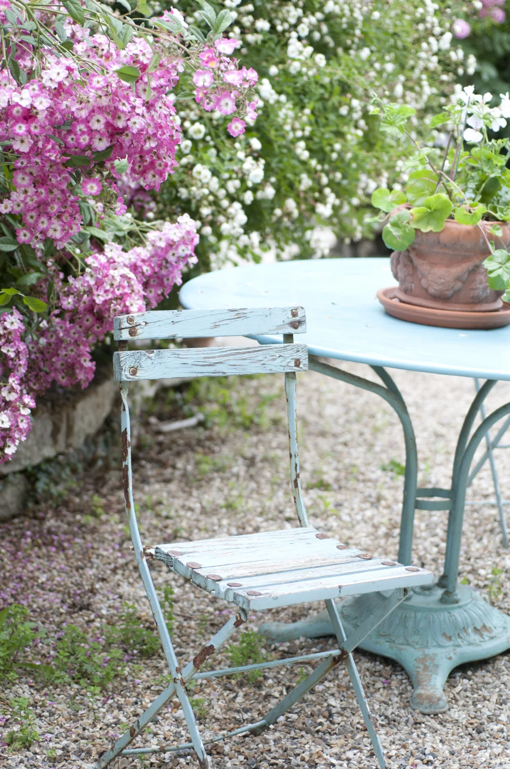 French Country Roses — Parisian Moments