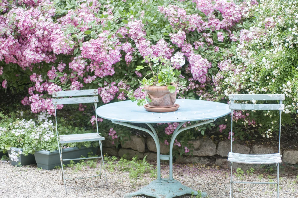 French Country Roses — Parisian Moments