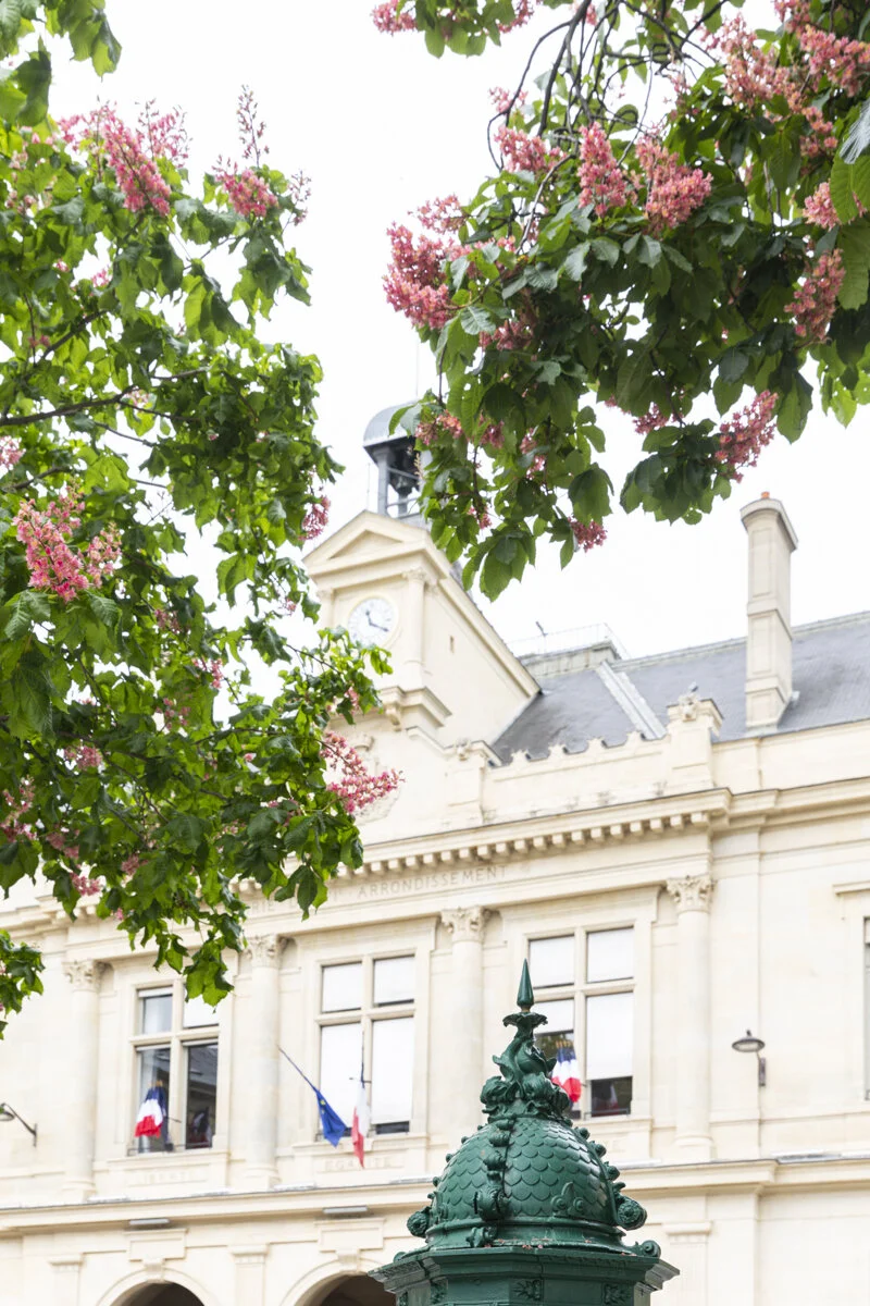 PINK CHESTNUT TREES IN PARIS — Parisian Moments