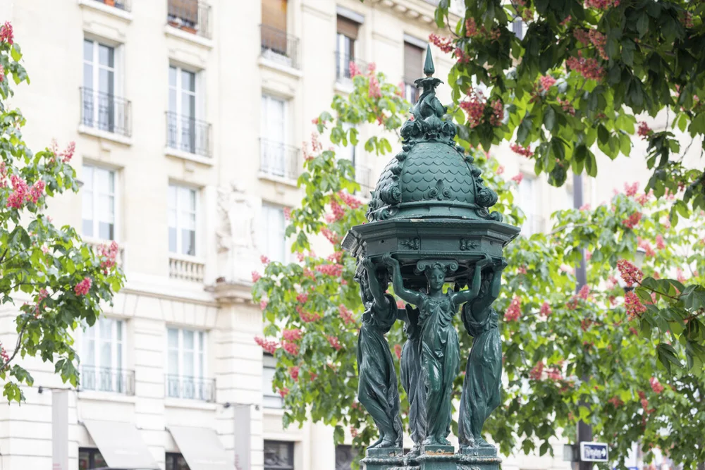 PINK CHESTNUT TREES IN PARIS — Parisian Moments