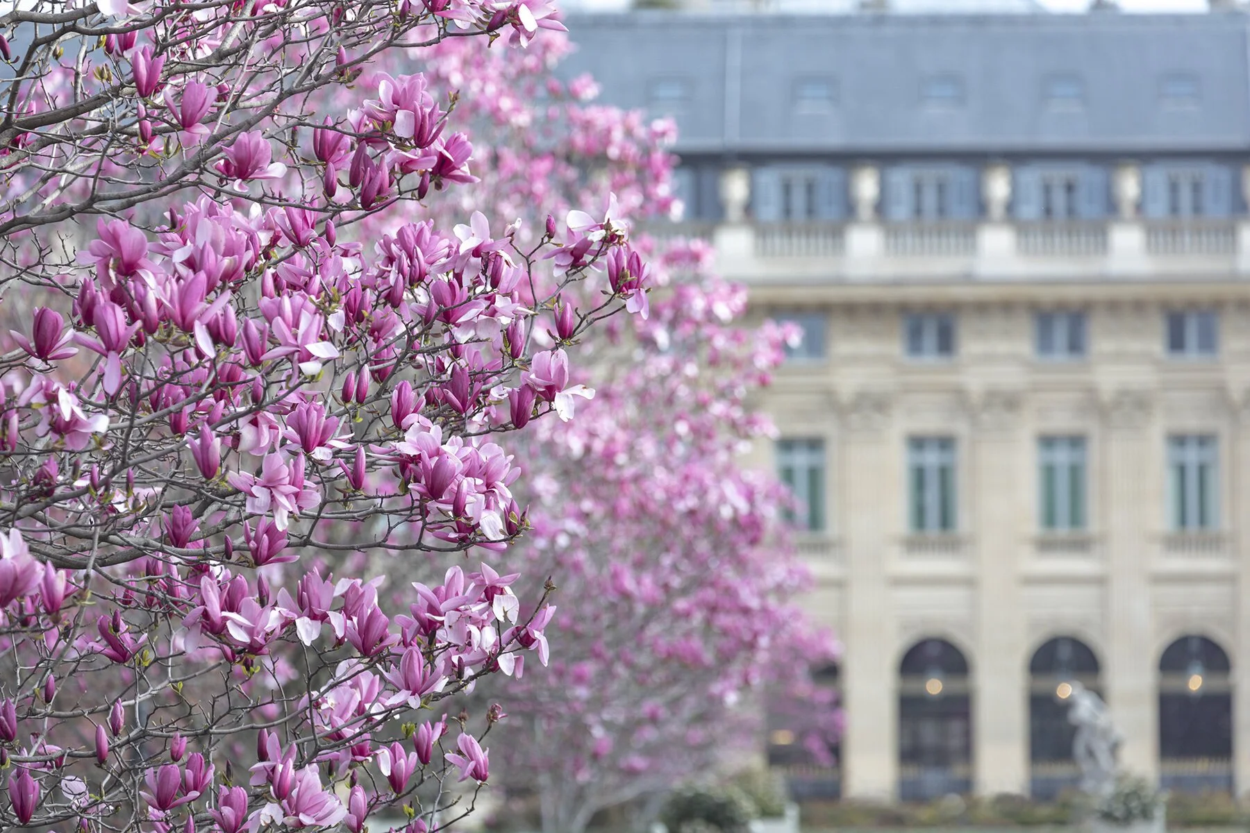 Palais Royal Gardens — Parisian Moments
