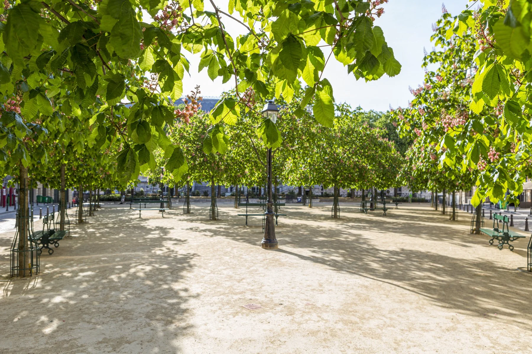 Place Dauphine – Paris — Parisian Moments