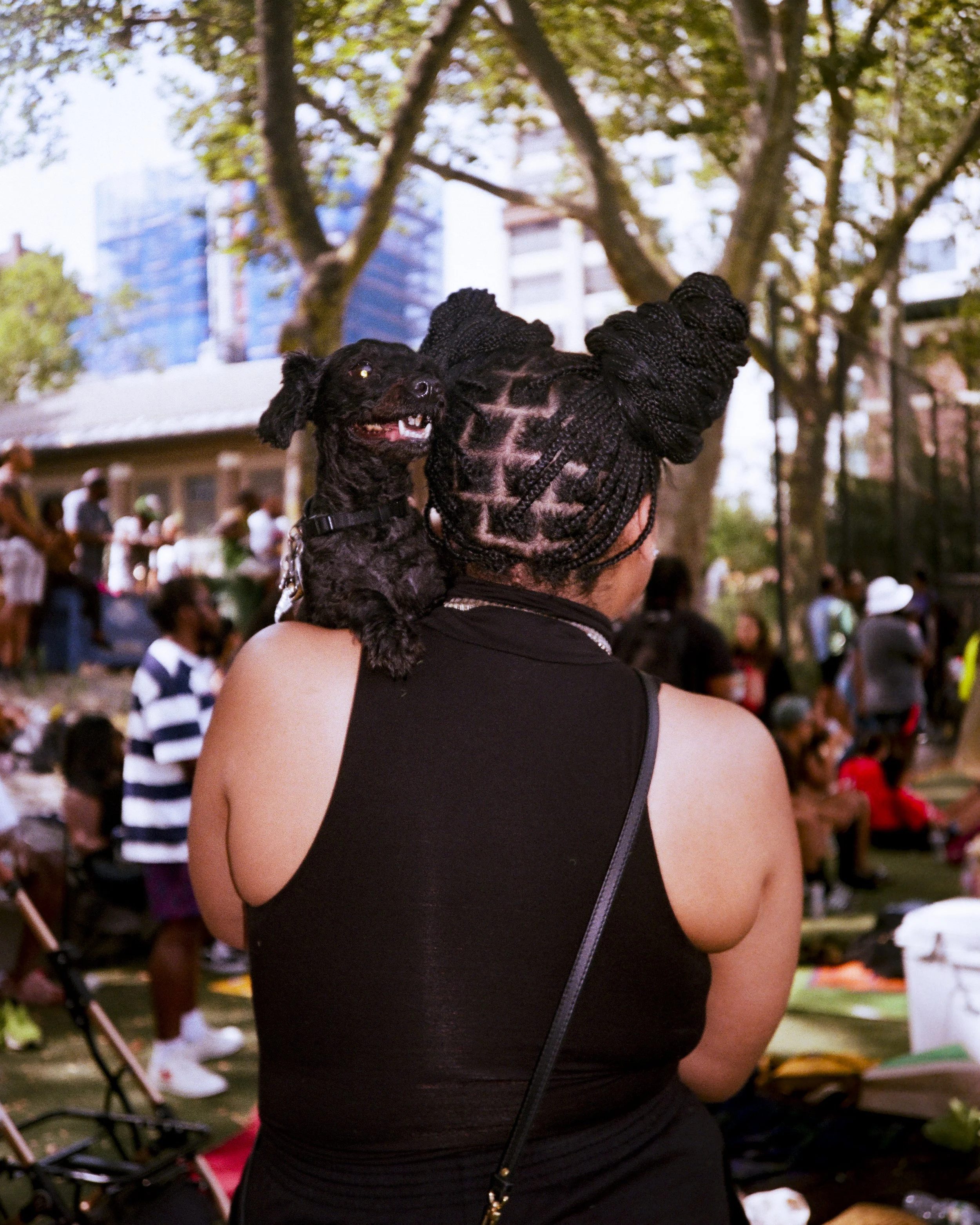 Recess Kickball League Summer '23 — Jacques Morel