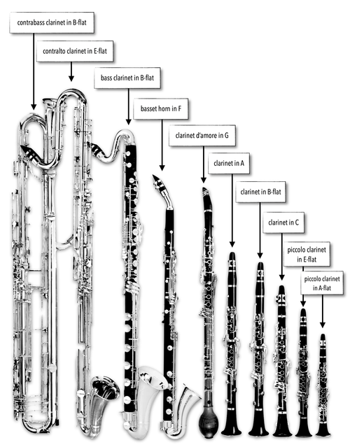 A map of the clarinet family — Richard Elliot Haynes