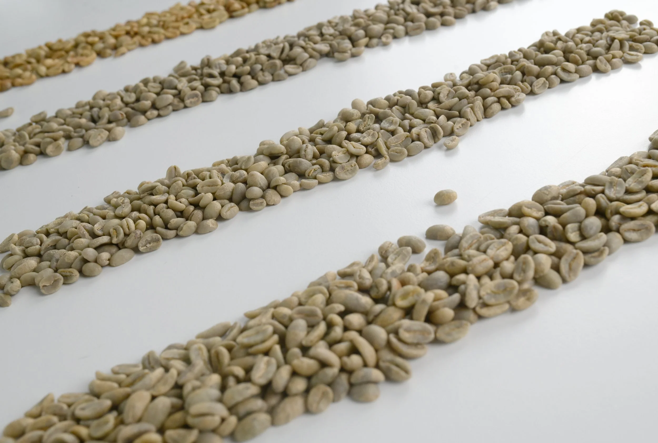 Adapting to the beans: introducing Bean/Inlet Temperature profiles — ROEST
