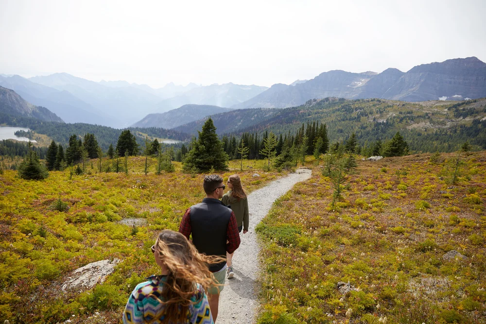 Sightseeing — Banff Sunshine Meadows