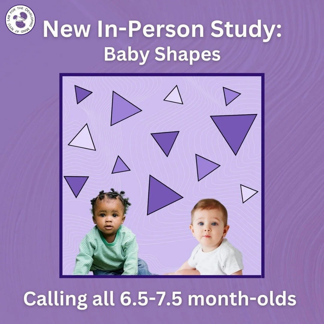 Lab for the Developing Mind at NYU