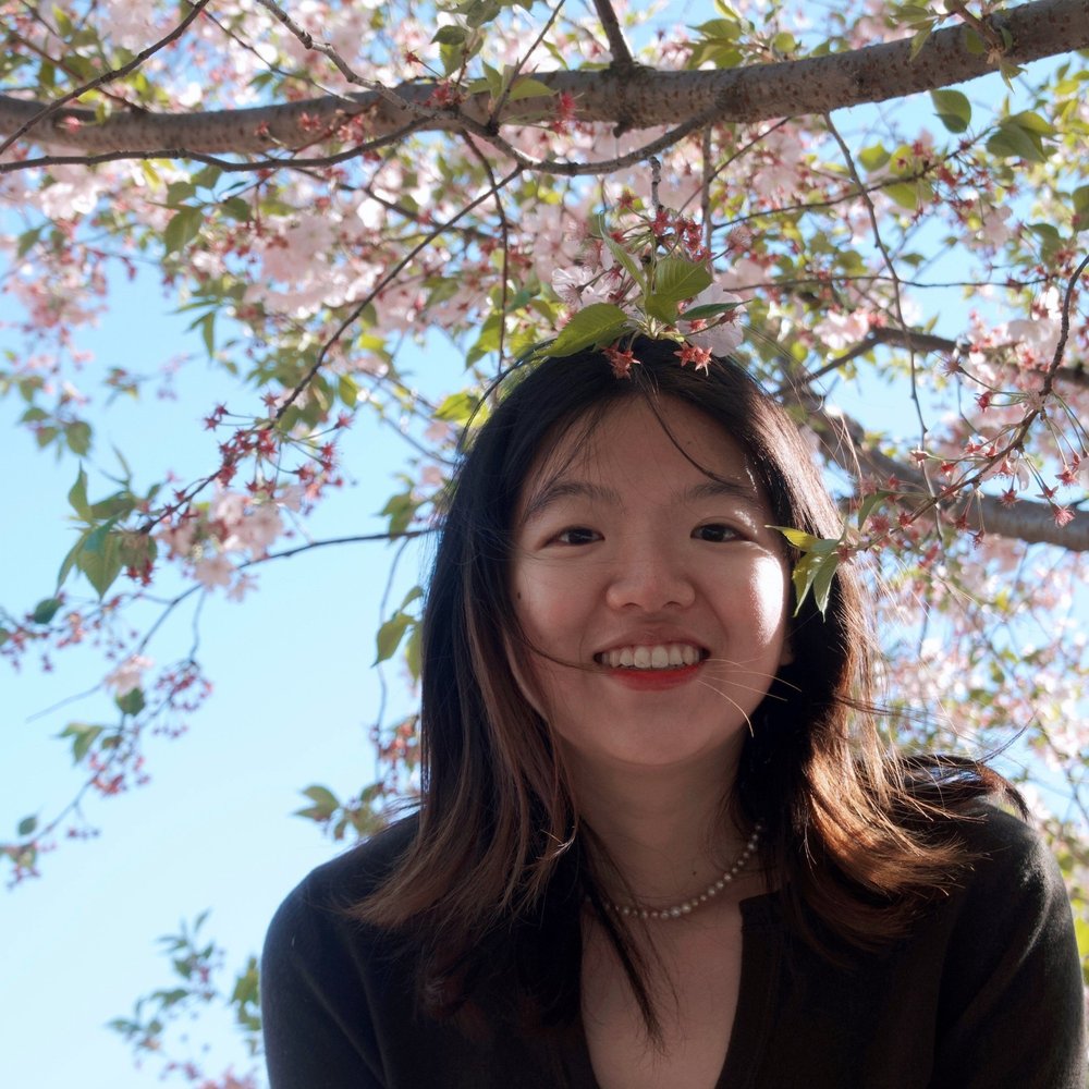 Team — Lab for the Developing Mind at NYU