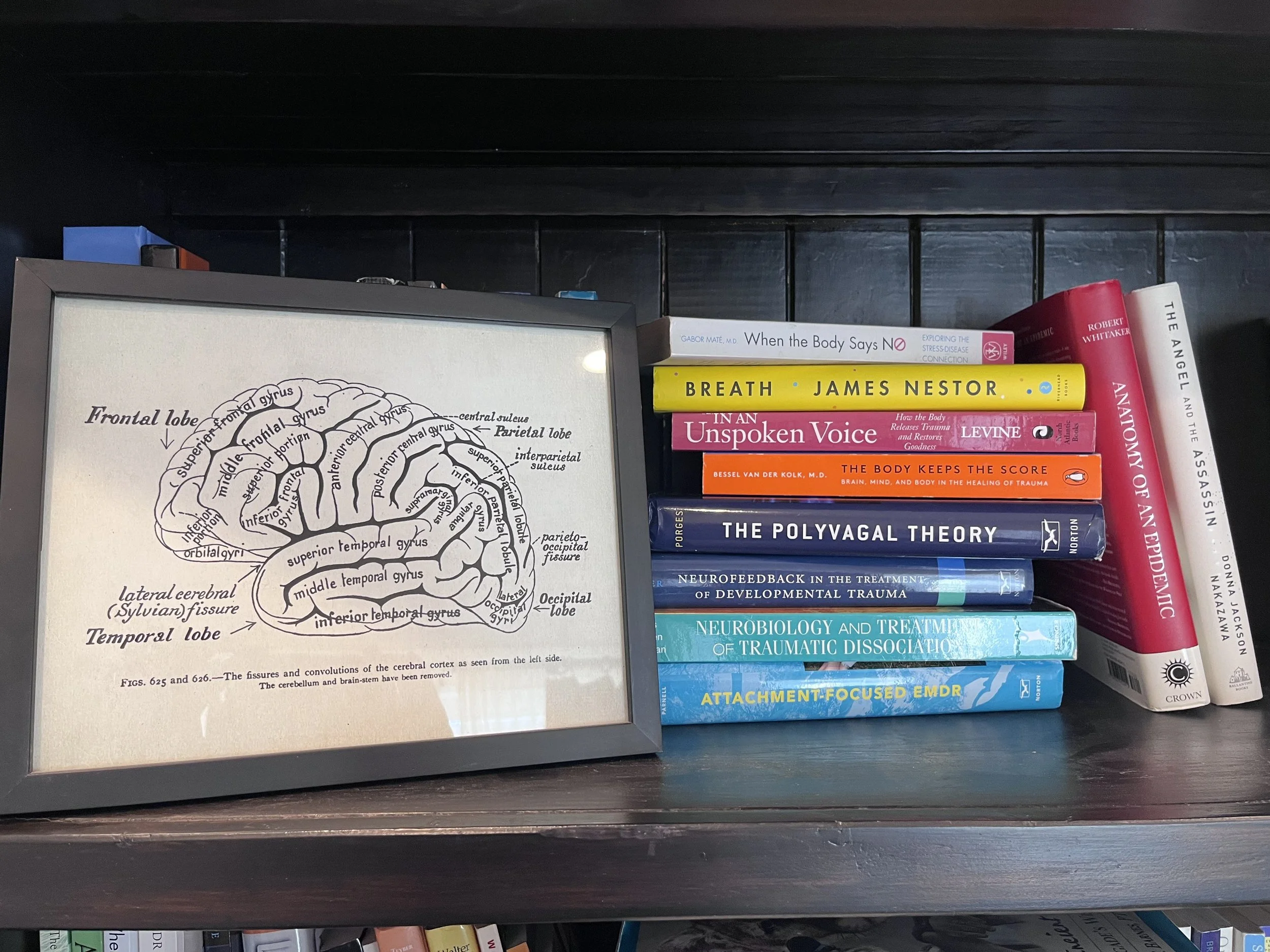 Neurofeedback Denver - Jessica Weimer LPC, BCN