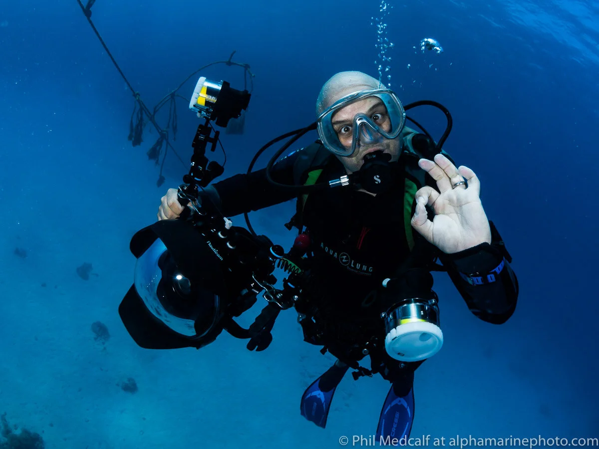 Underwater Camera Housings: Plastic vs Metal — Alphamarine Photography Ltd