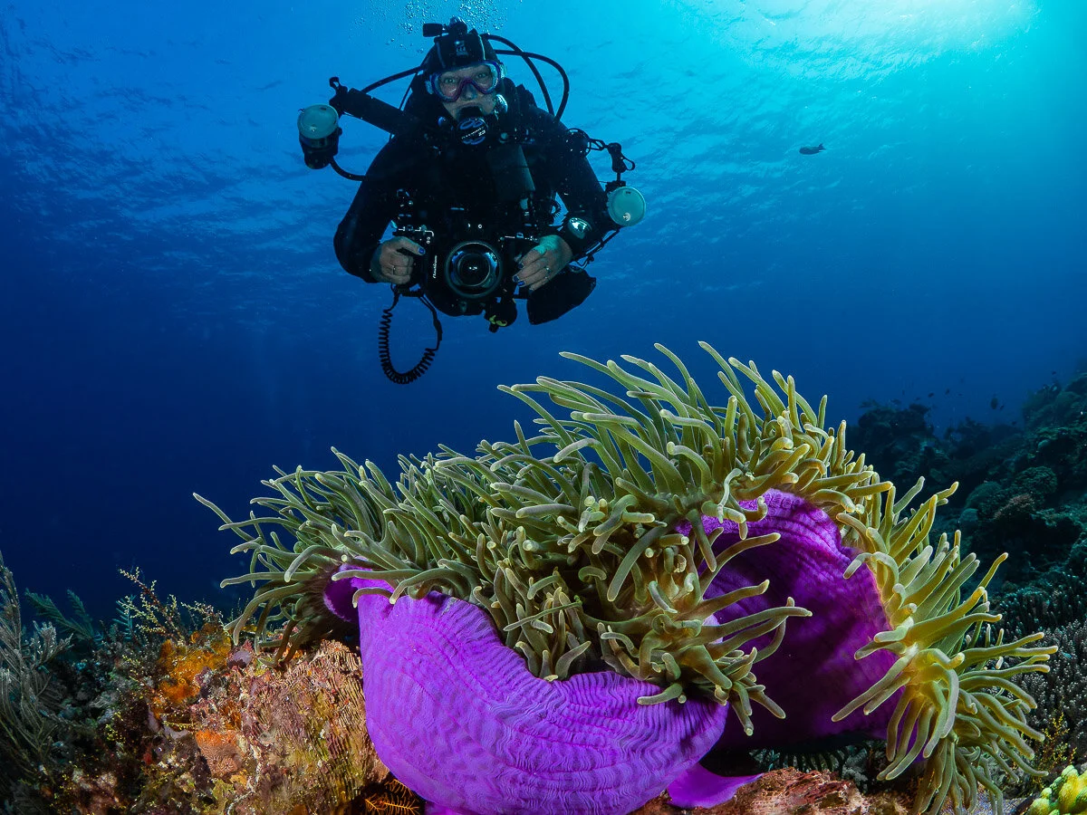 Get the best from your Olympus TG5 Underwater. Part two: Settings and ...
