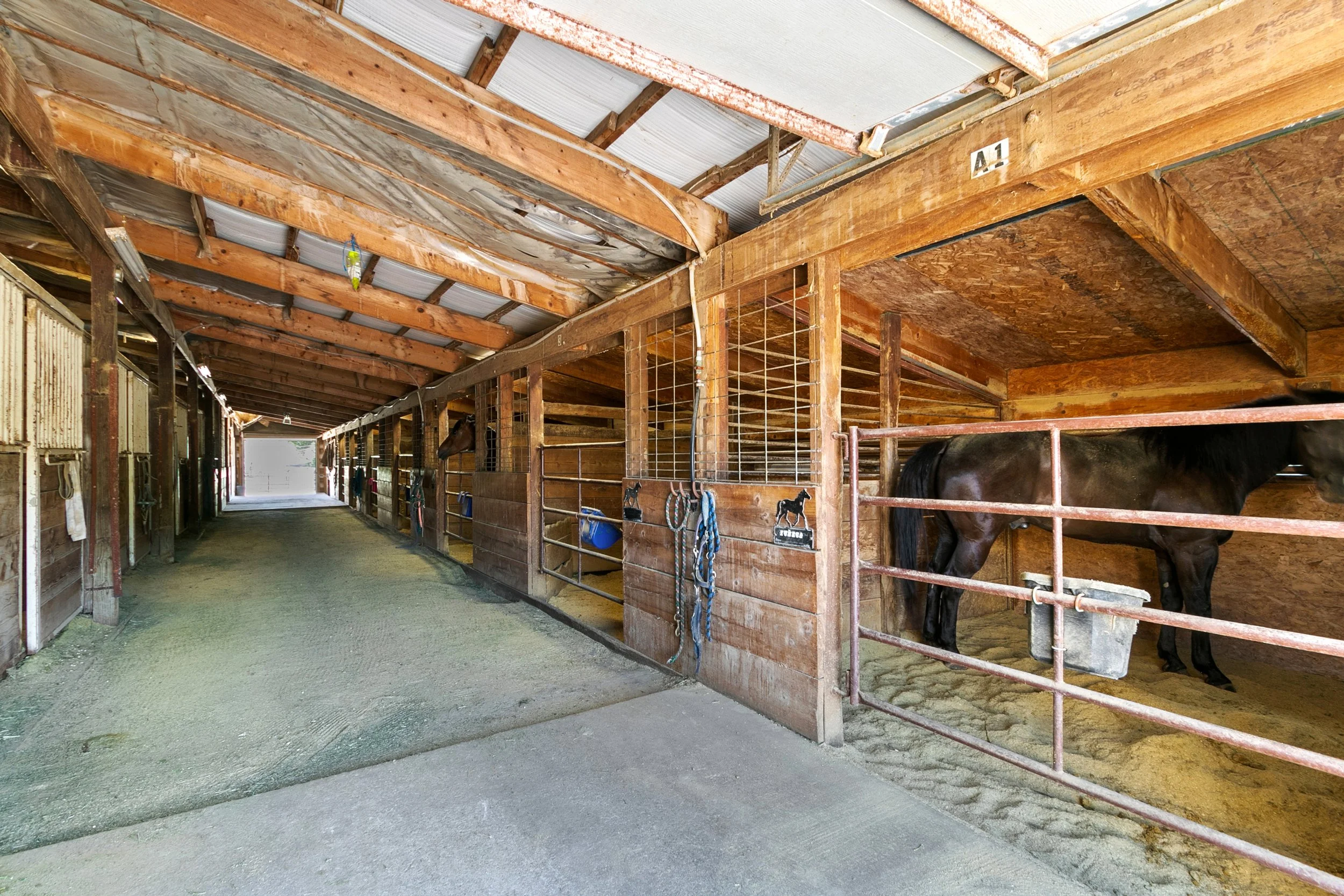 Our Place — Canyon Equine