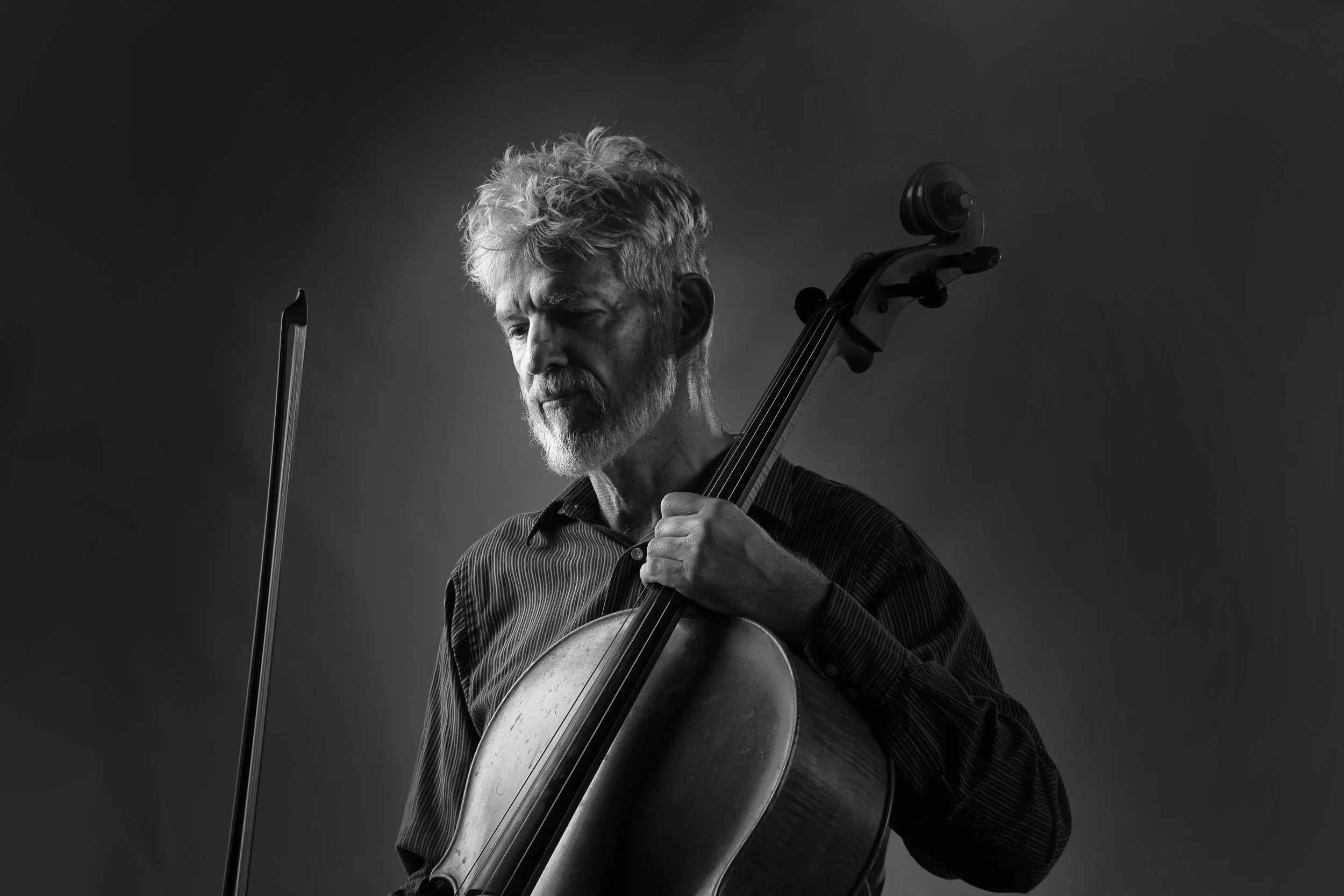 Media — Daniel Austin Sperry