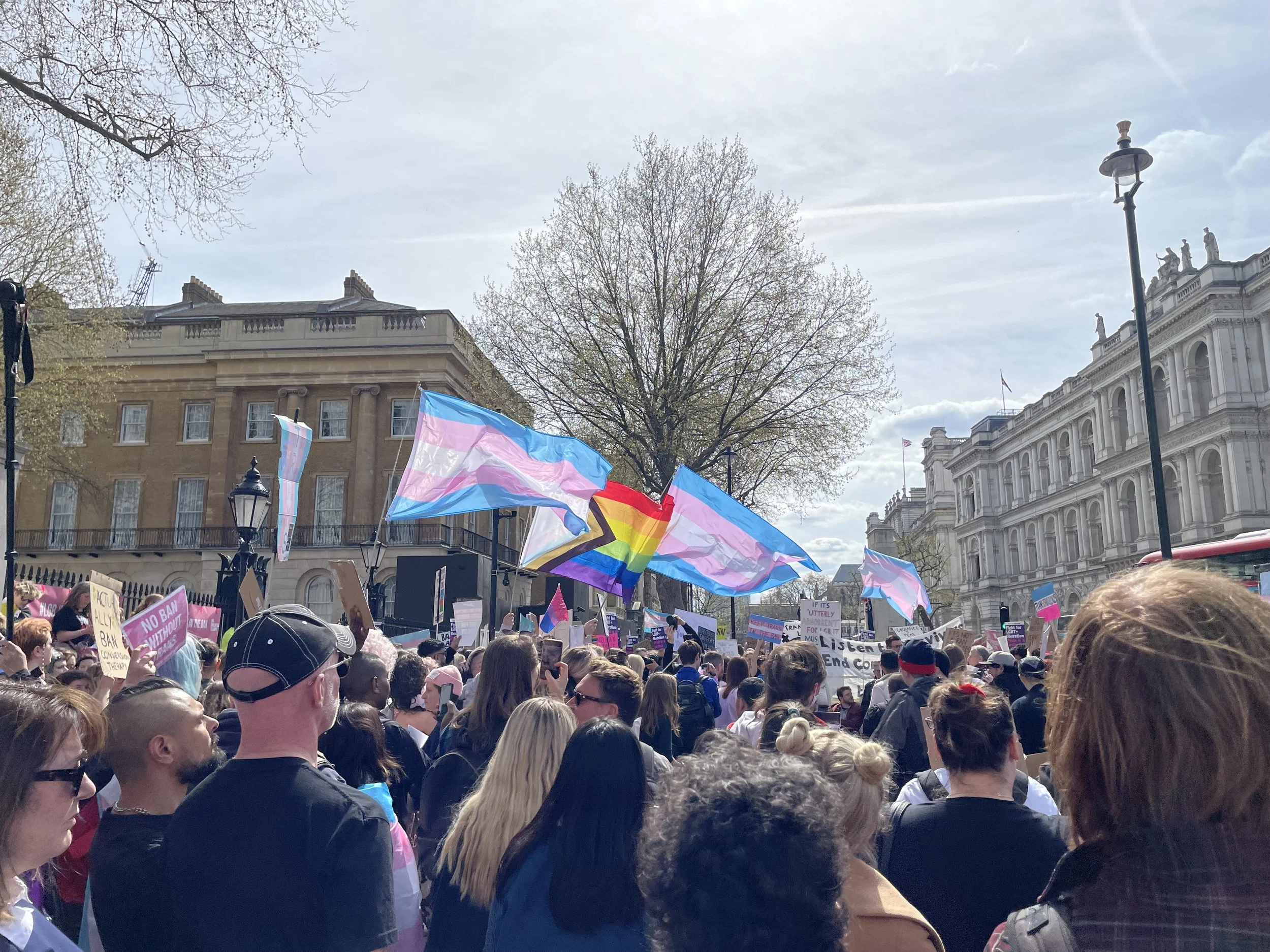 The Global Butterflies Fund — GiveOut