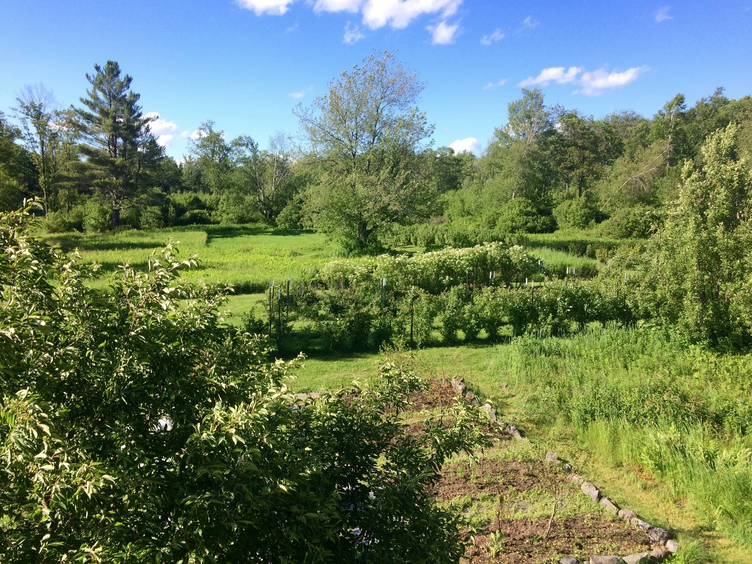 The Farm's Story — Bug Hill Farm