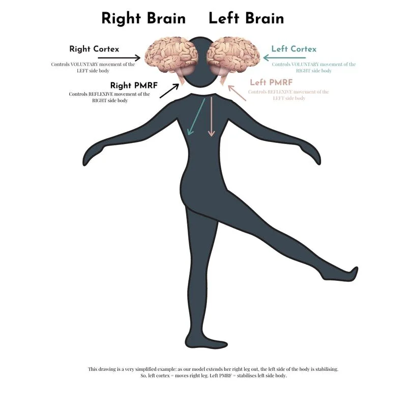 Why you may injure more on one side of your body... — Adell Bridges