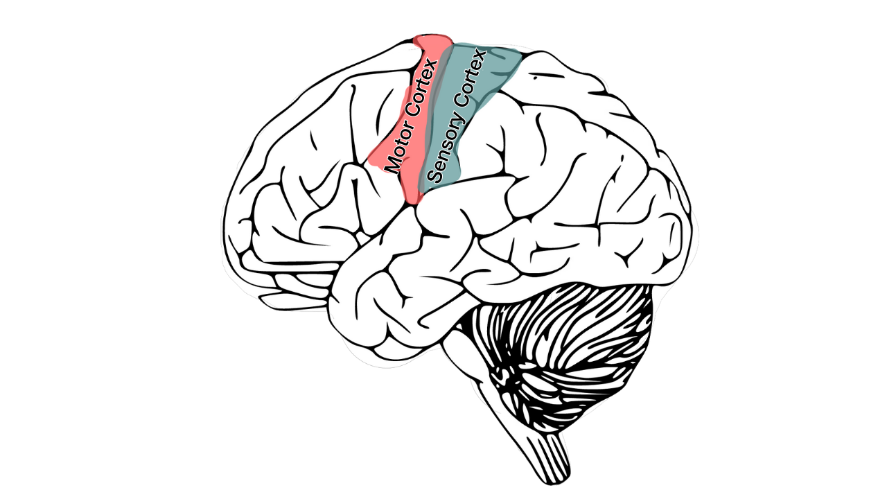 1 super easy way to improve ANY movement... — Adell Bridges