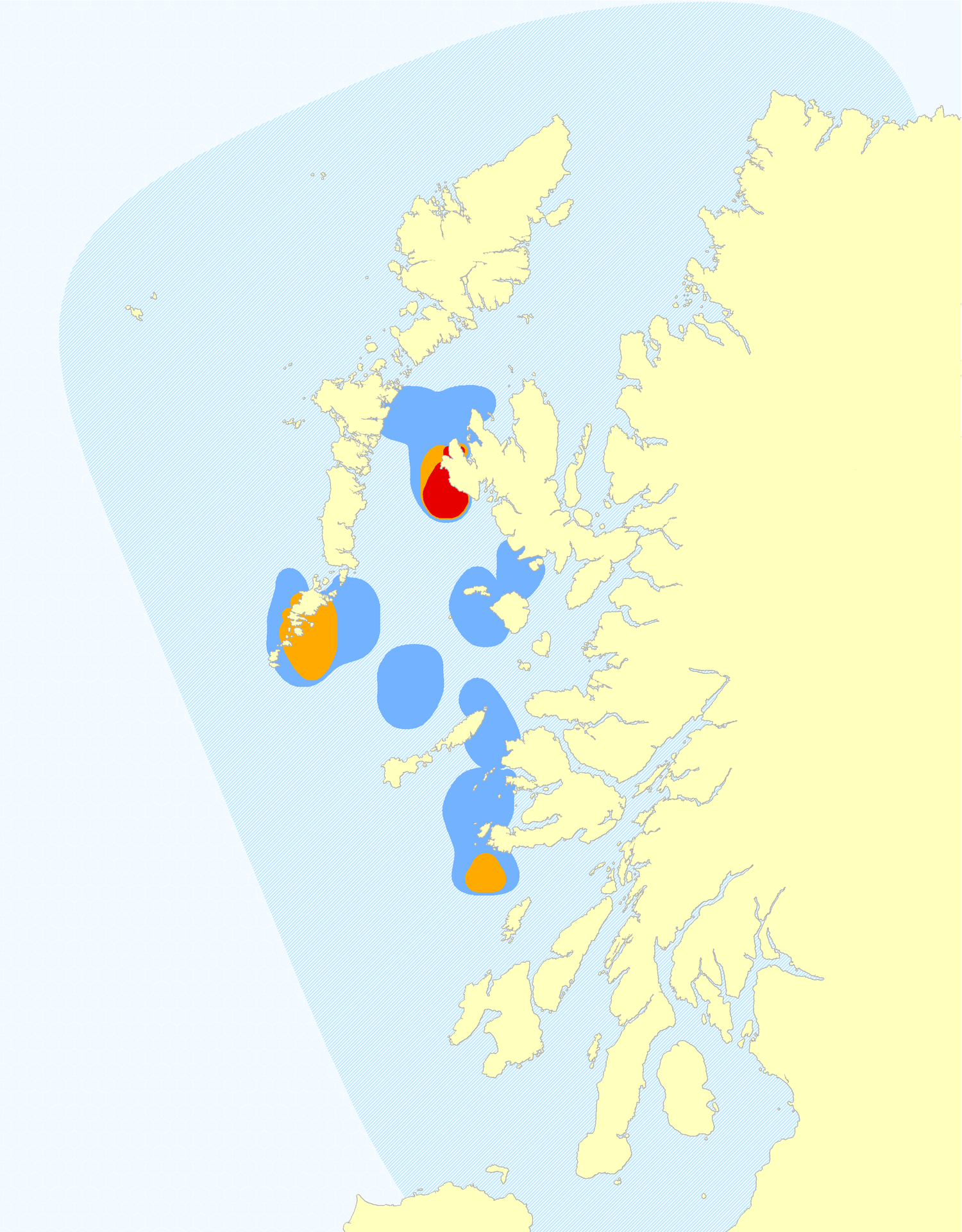 Killer Whale — Hebridean Whale & Dolphin Trust