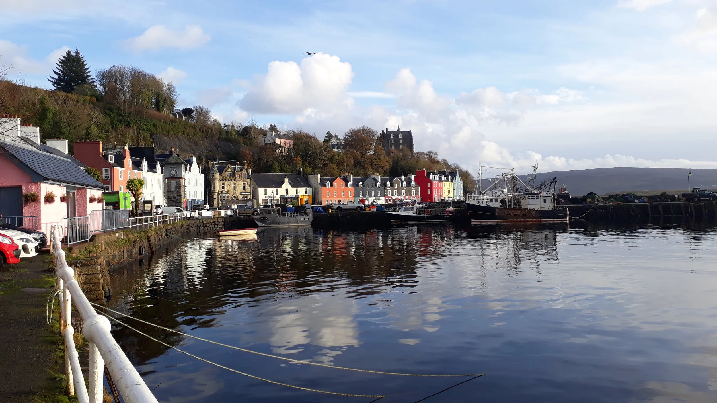 Owen's Account - Work Experience at HWDT — Hebridean Whale & Dolphin Trust