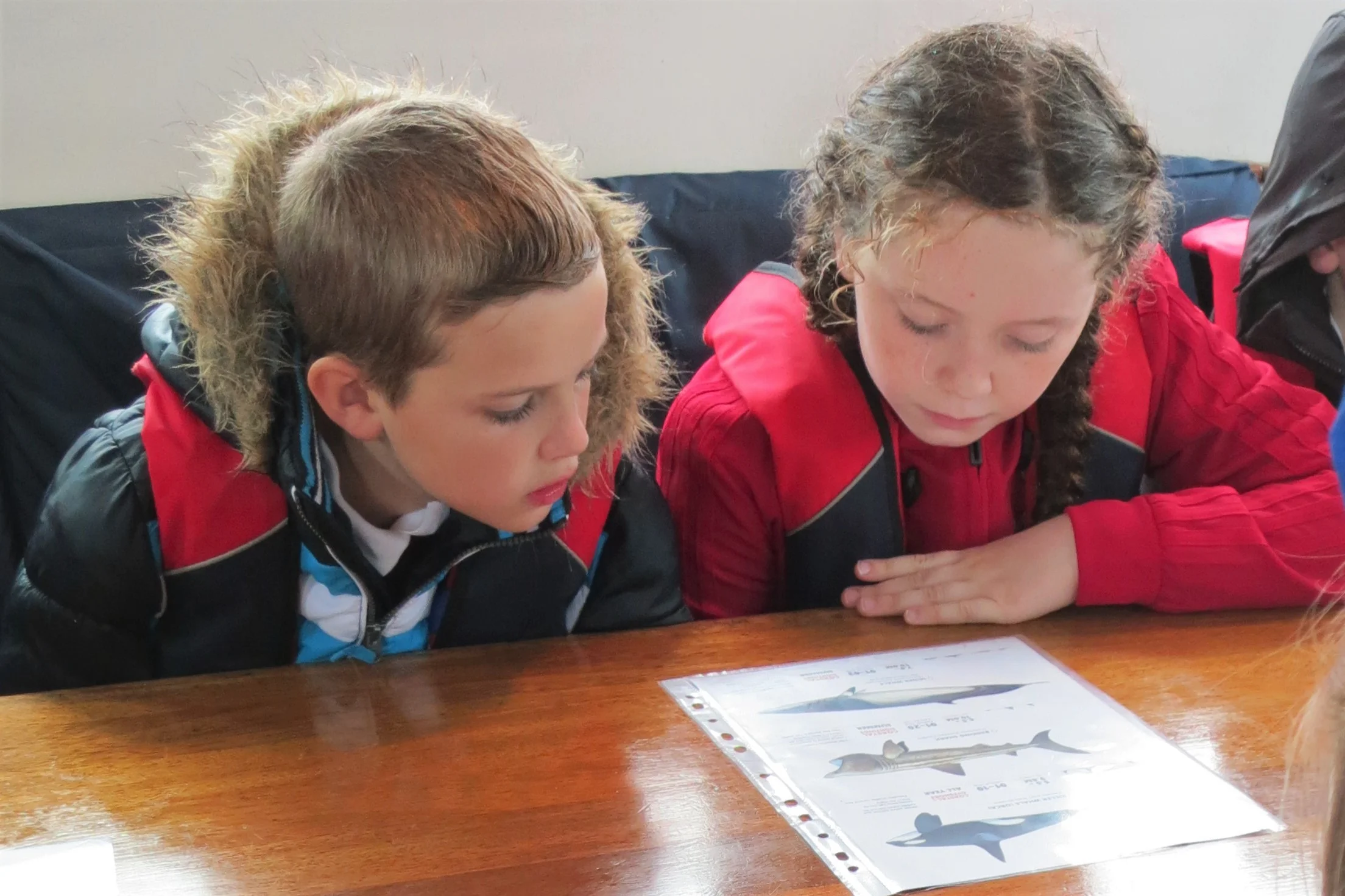 "Best school day ever!" — Hebridean Whale & Dolphin Trust