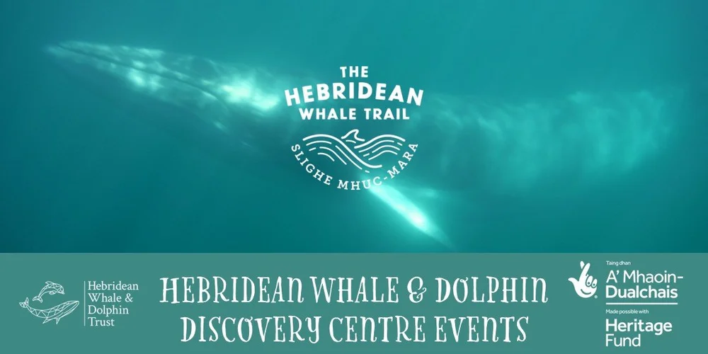 Conservation Champions! Can You Help Save our Seas? — Hebridean Whale & Dolphin Trust