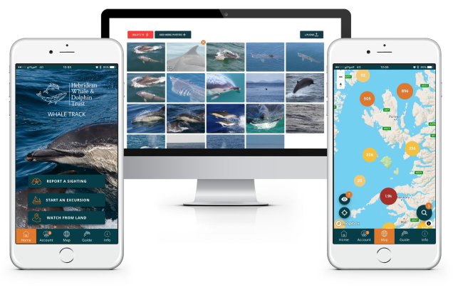 Exploring the new Whale Track app and website — Hebridean Whale & Dolphin Trust