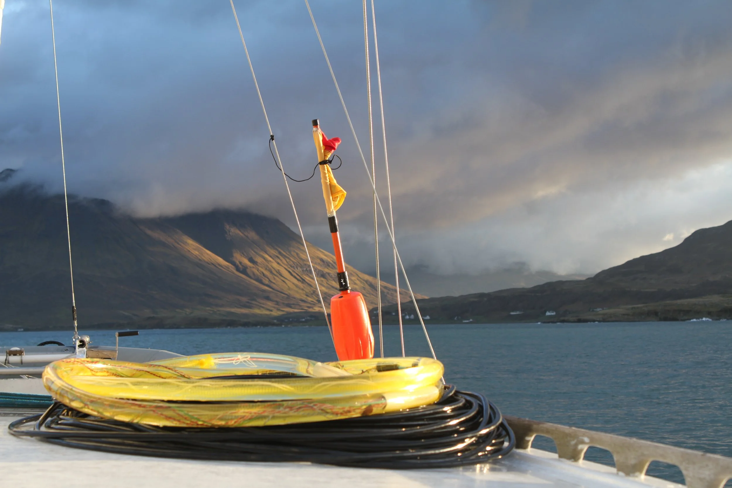 Listening for Conservation — Hebridean Whale & Dolphin Trust