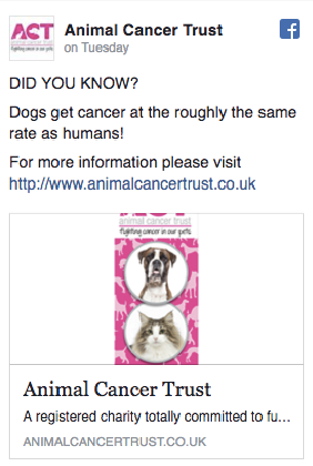 Whats New? — Masivet