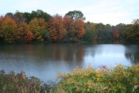 Trails — South Portland Land Trust